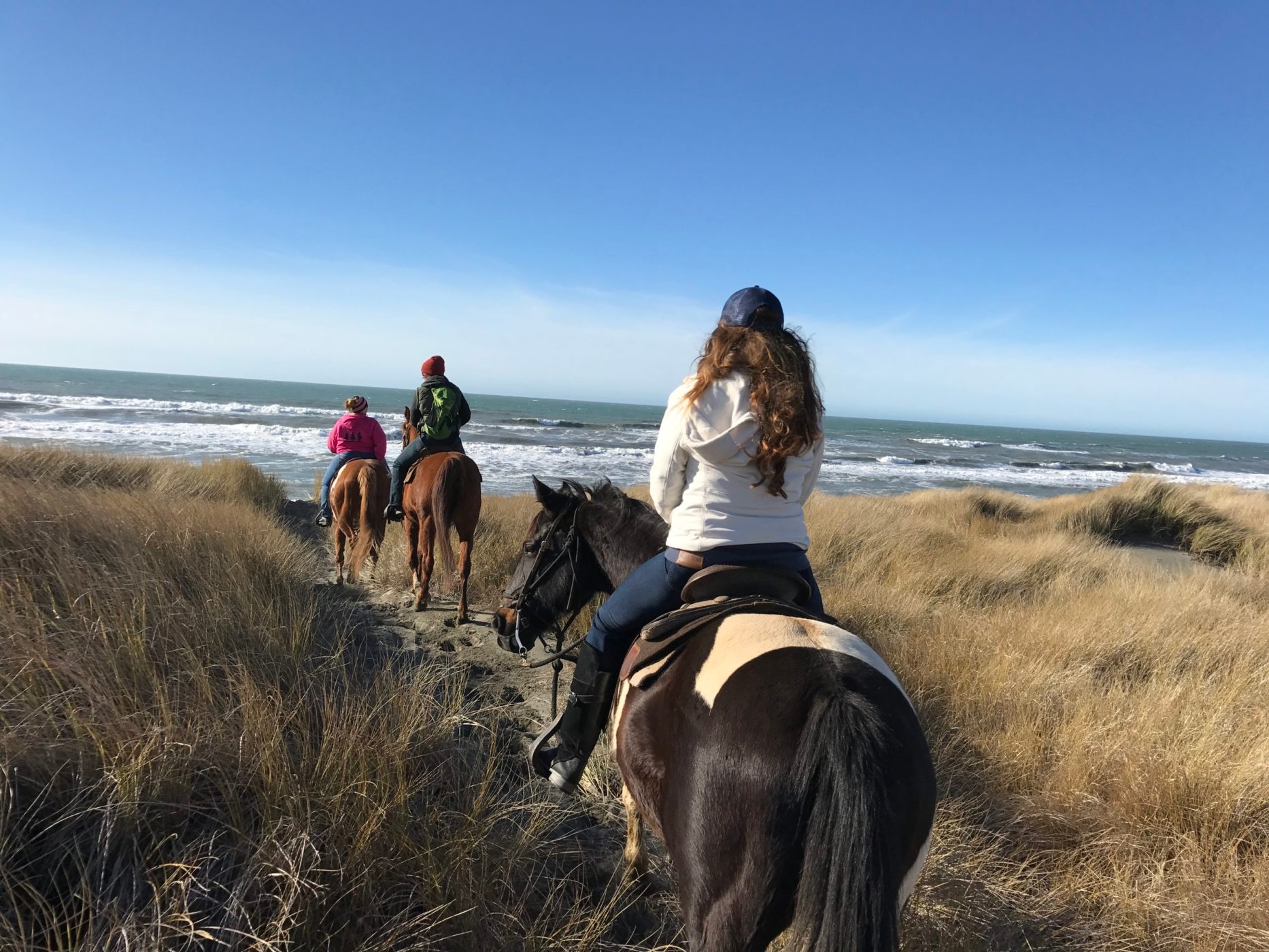 Crescent Trail Rides | Horseback Riding in Northern California