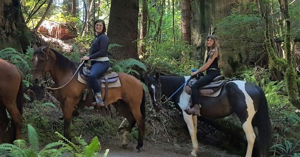 Horseback Riding in the Redwoods | Crescent Trail Rides